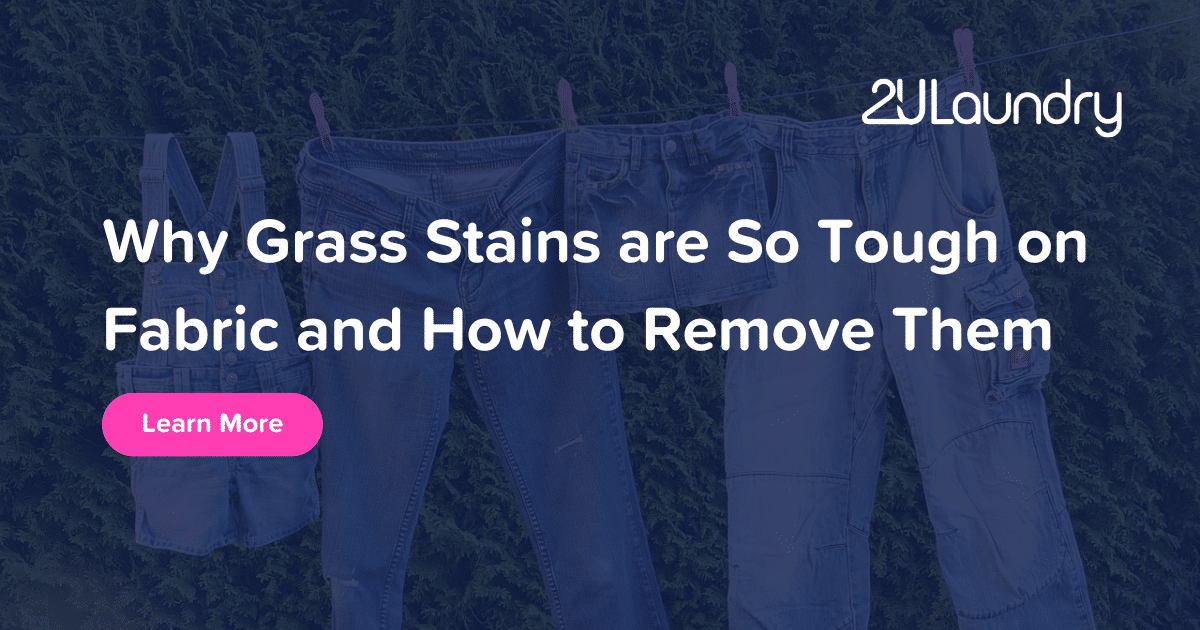 Why Grass Stains are So Tough and How to Remove Them